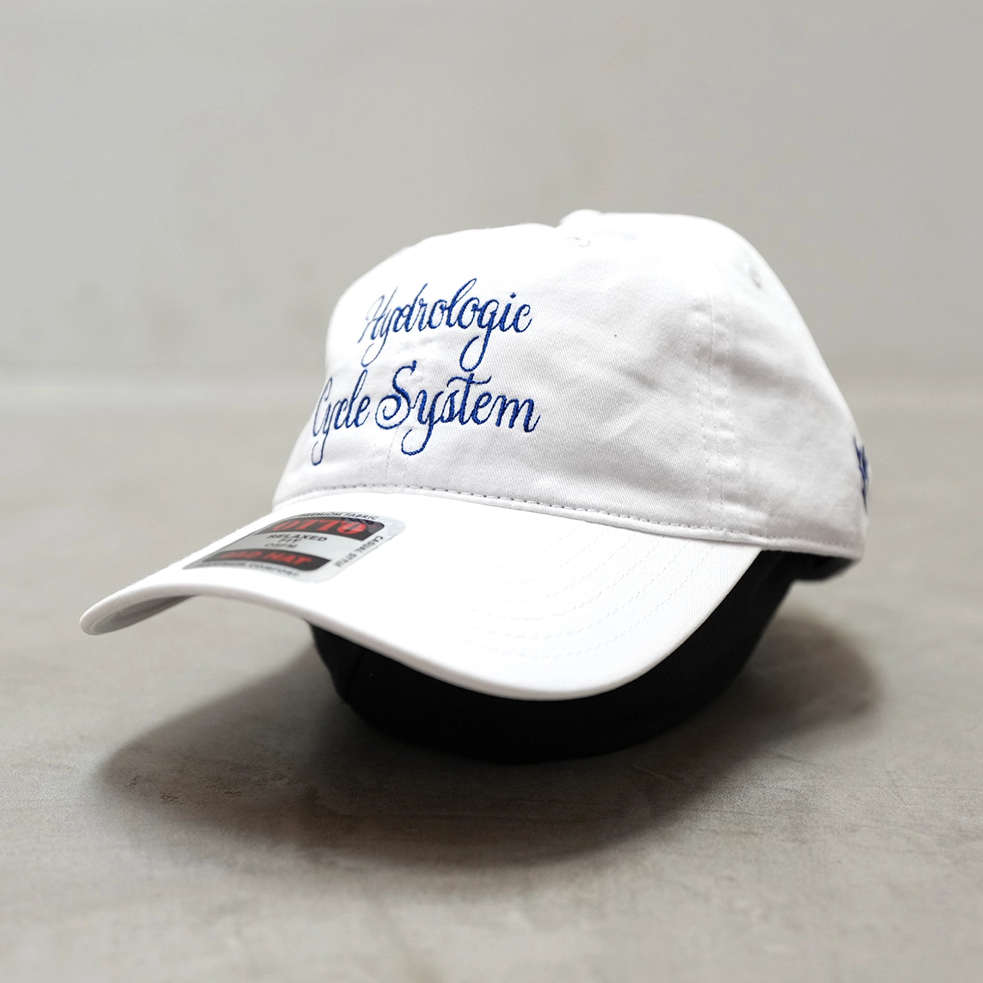South2 West8 サウスツーウエストエイト Strap Back Cap - HYDROLOGIC CYCLE SYSTEM ...